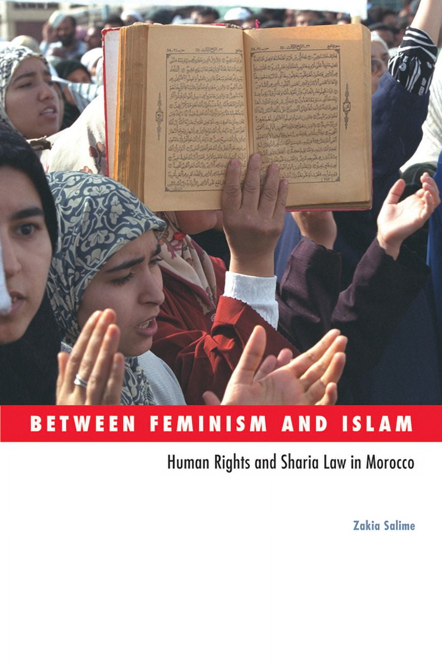 Social Movements, Protest and Contention Between Feminism and Islam ...