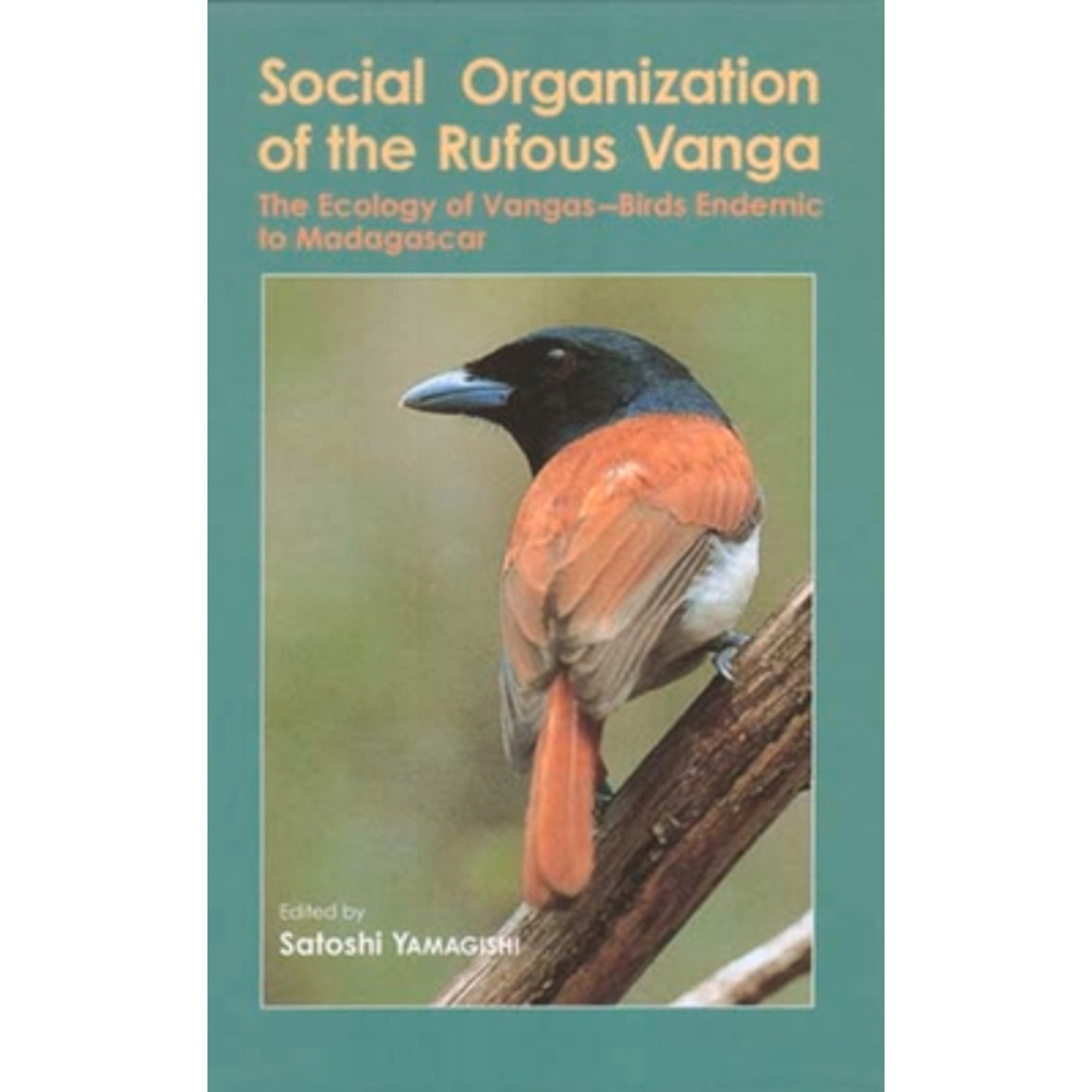Pre-Owned Social Organization of the Rufous Vanga: The Ecology of ...
