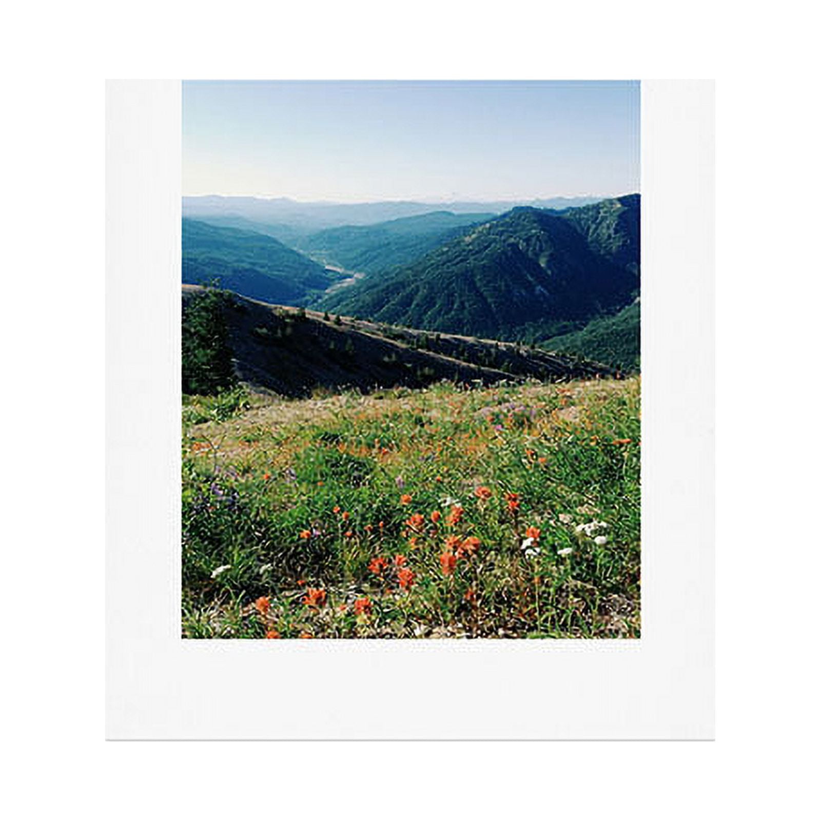 Society6 Gifford Pinchot National Forest by Kevin Russ Art Print ...