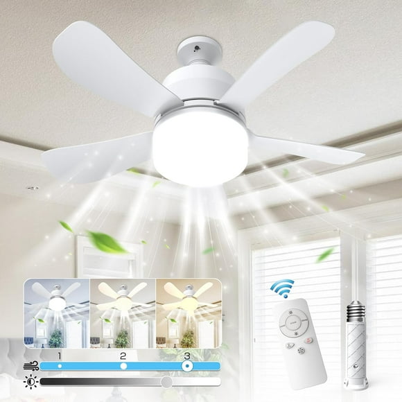 Ceiling Fans
