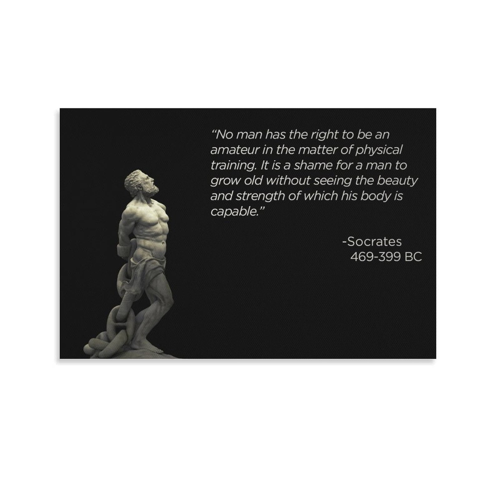 Socrates Greek Philosopher Poster (1)_副本1 Canvas Art Poster and Wall ...