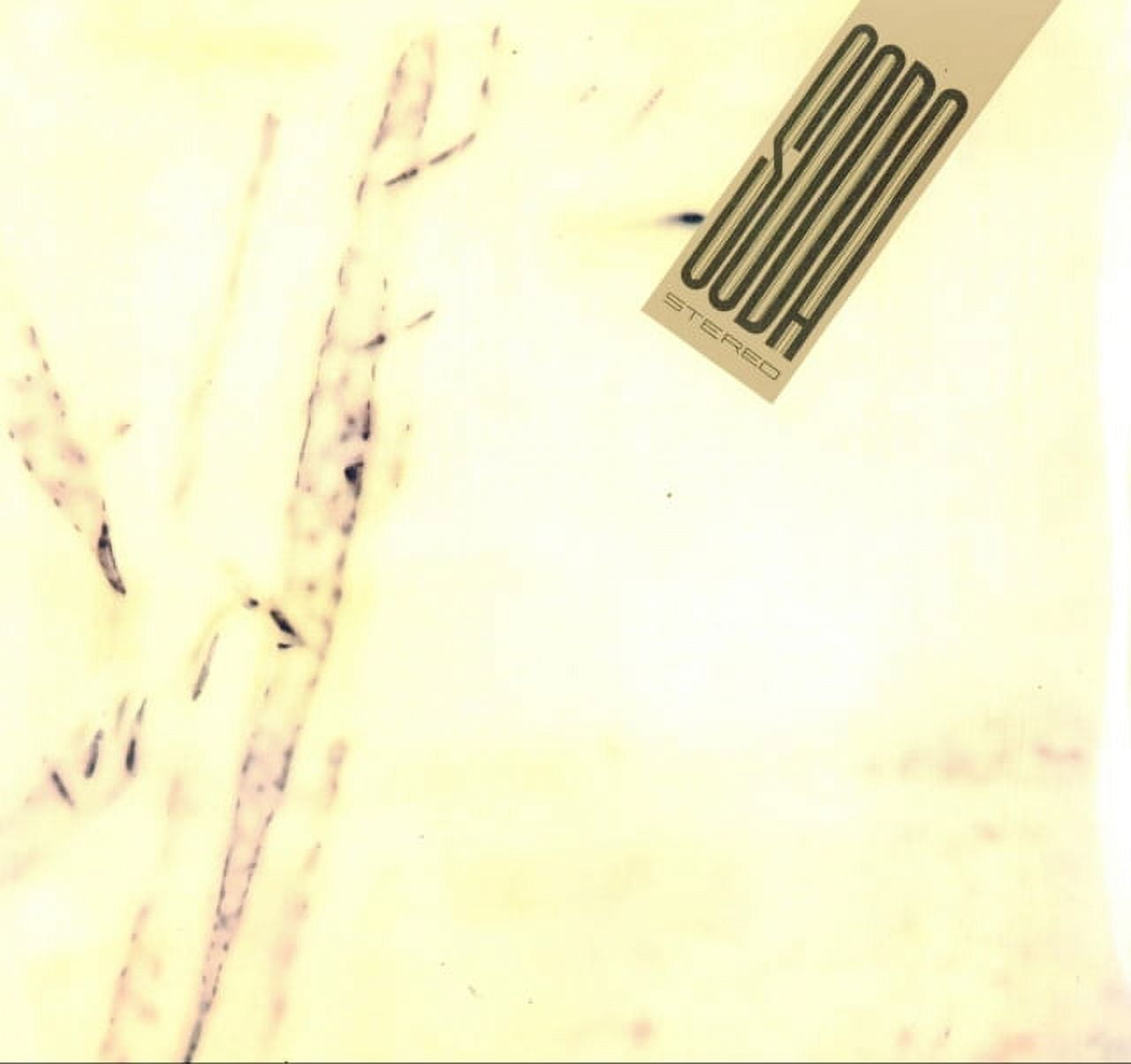 Soda Stereo - Signos - Vinyl - Walmart.com