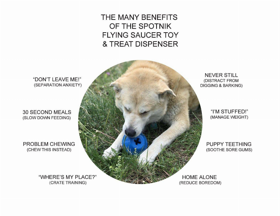 SodaPup - Durable Dog Treat Dispenser & Chew Toy Made in USA from Non ...