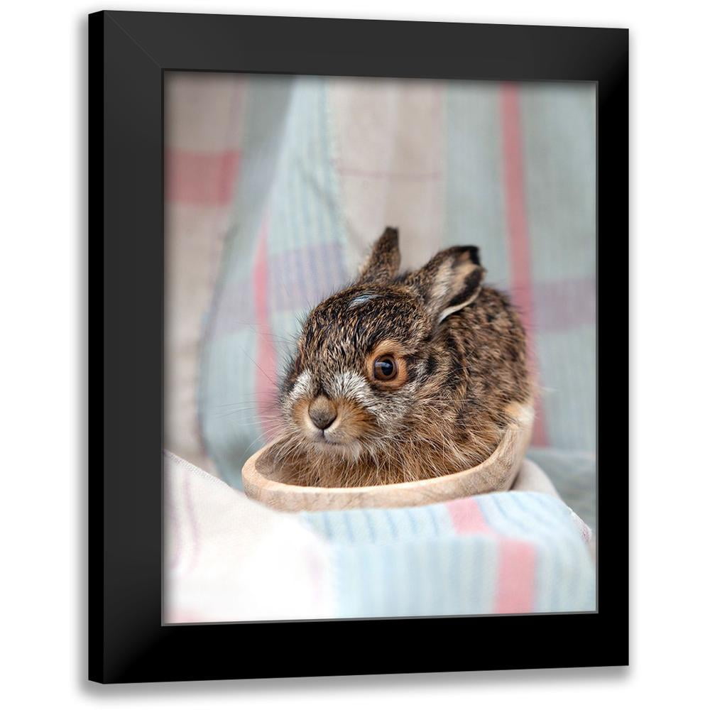 Soderman, Tania 12x14 Black Modern Framed Museum Art Print Titled ...