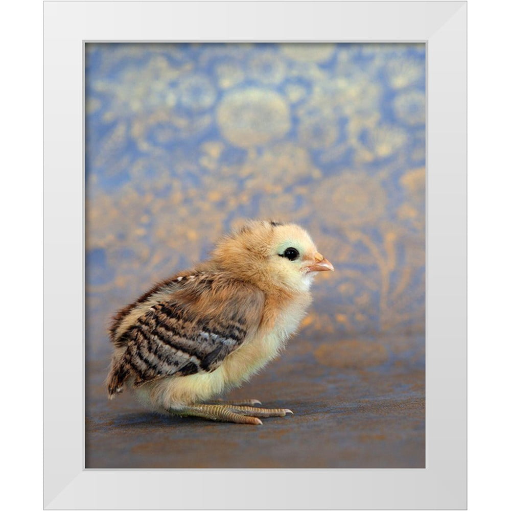 Soderman, Tania 12x14 White Modern Wood Framed Museum Art Print Titled ...