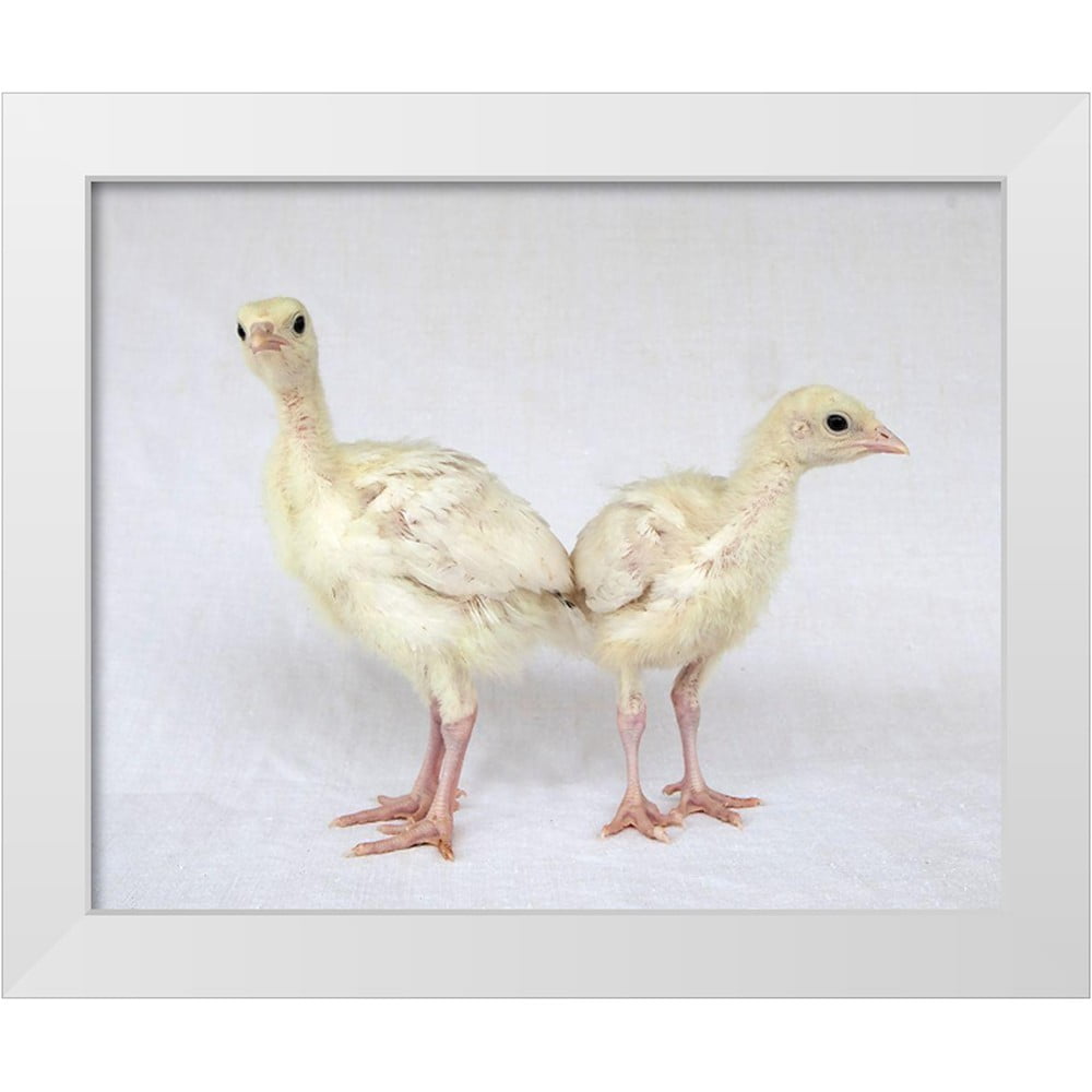 Soderman, Tania 14x12 White Modern Wood Framed Museum Art Print Titled ...