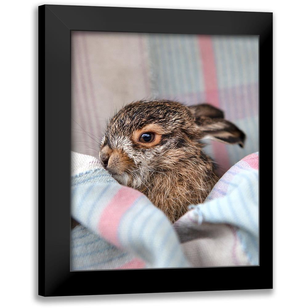 Soderman, Tania 15x18 Black Modern Framed Museum Art Print Titled ...