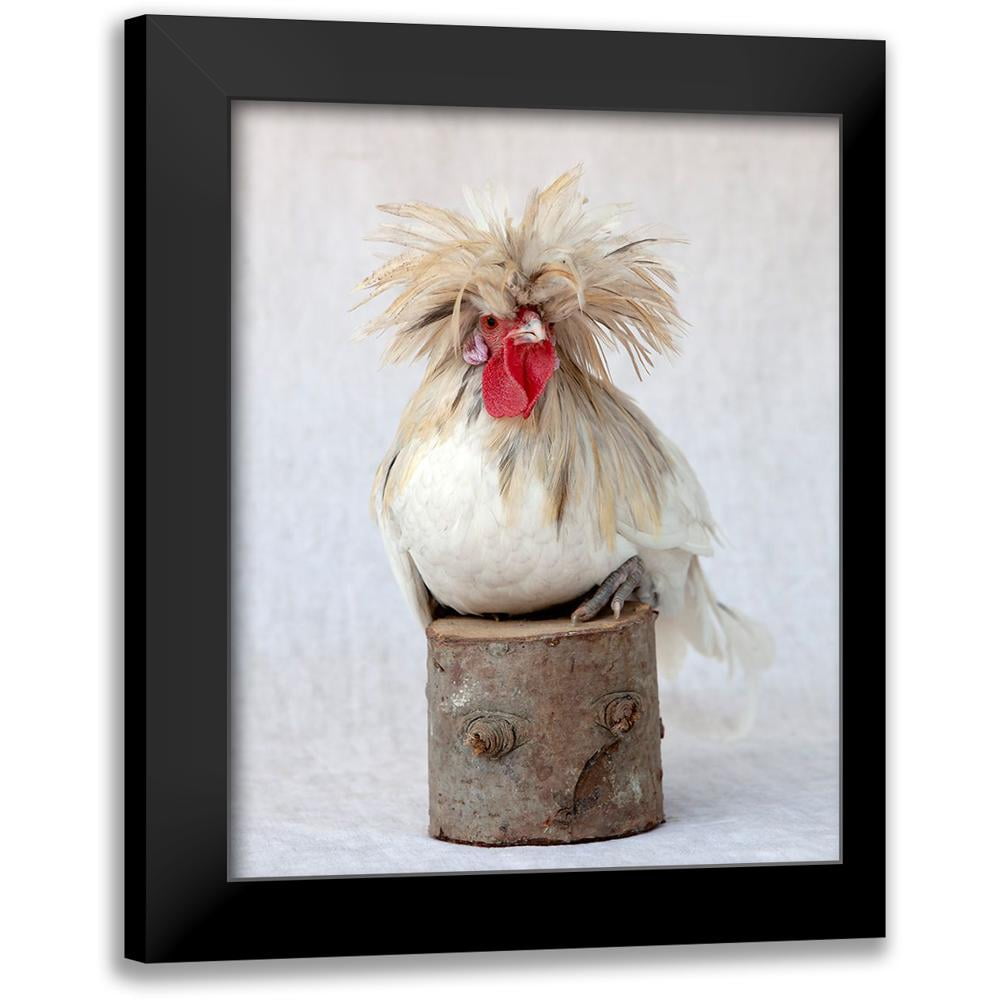 Soderman, Tania 20x24 Black Modern Framed Museum Art Print Titled - Rod ...