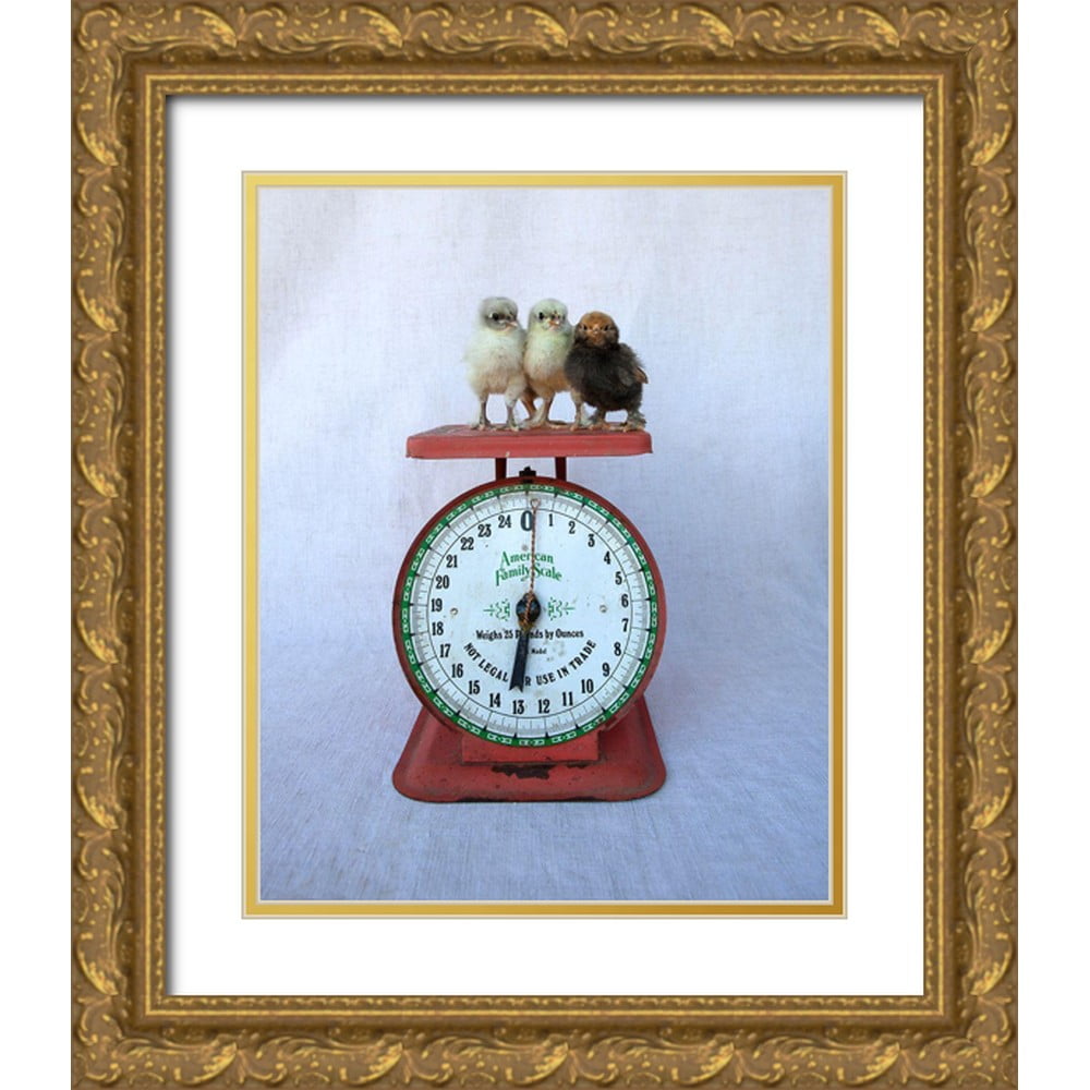 Soderman, Tania 20x24 Gold Ornate Wood Framed with Double Matting ...
