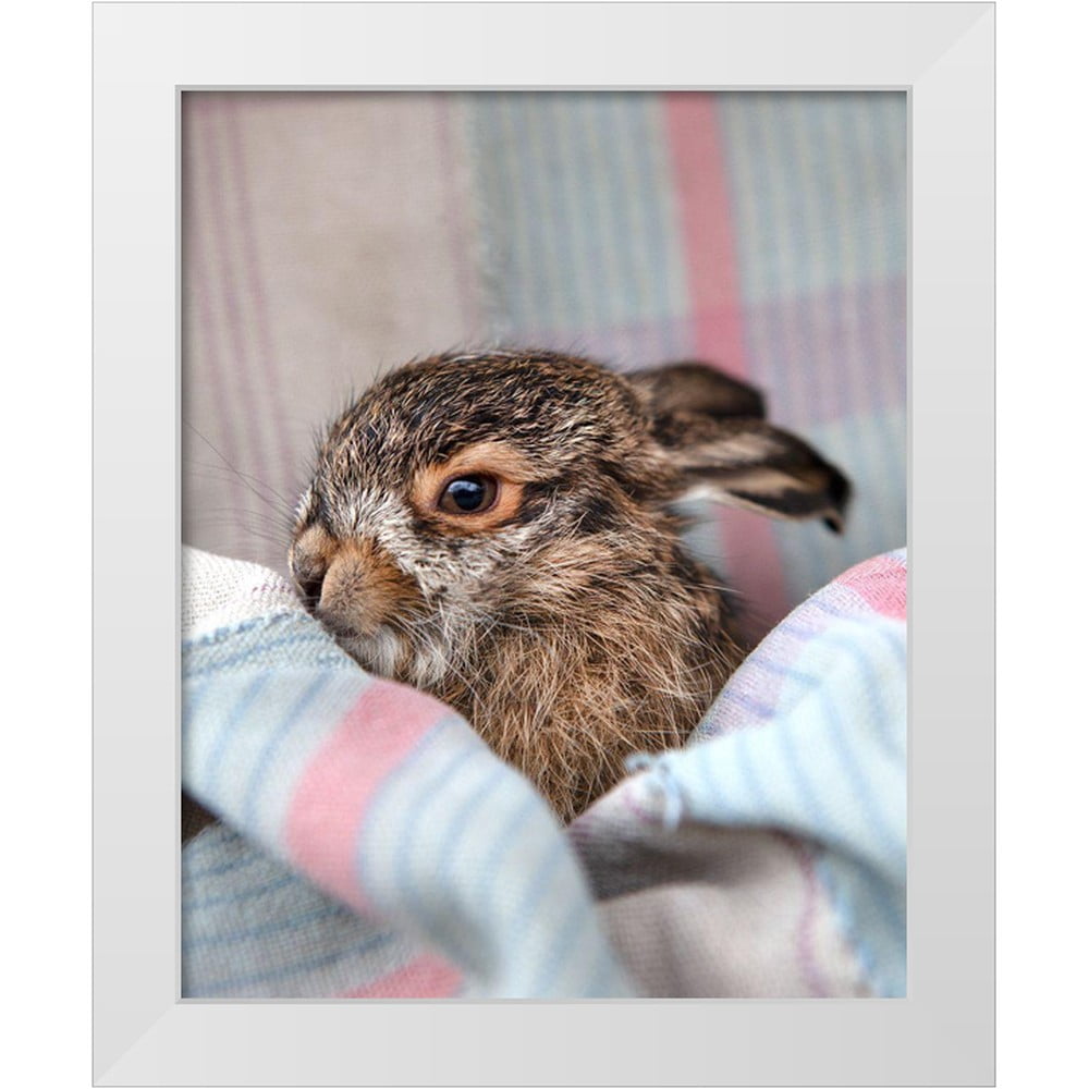 Soderman, Tania 26x32 White Modern Wood Framed Museum Art Print Titled ...