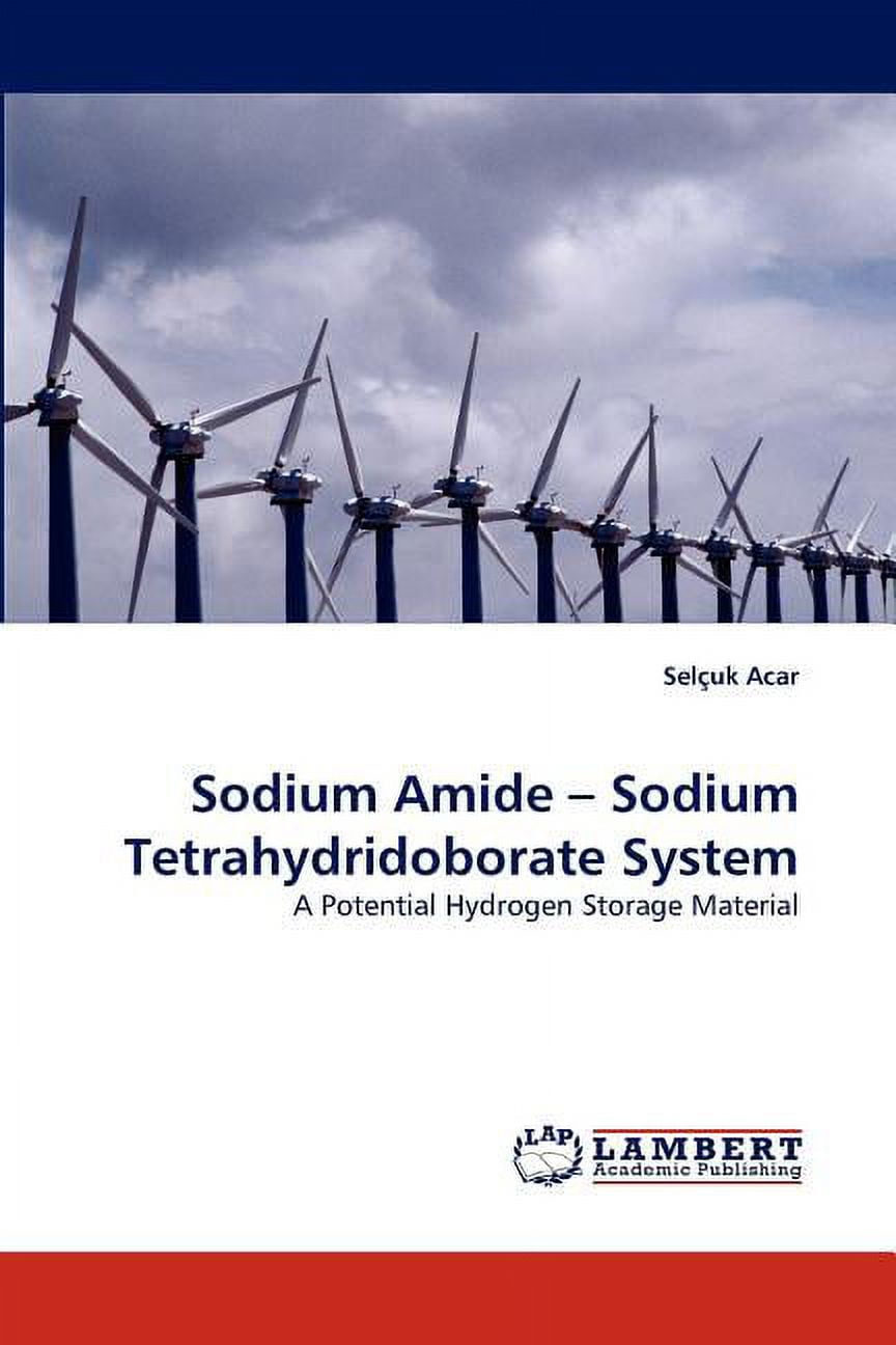 Sodium Amide - Sodium Tetrahydridoborate System (Paperback) - Walmart.com