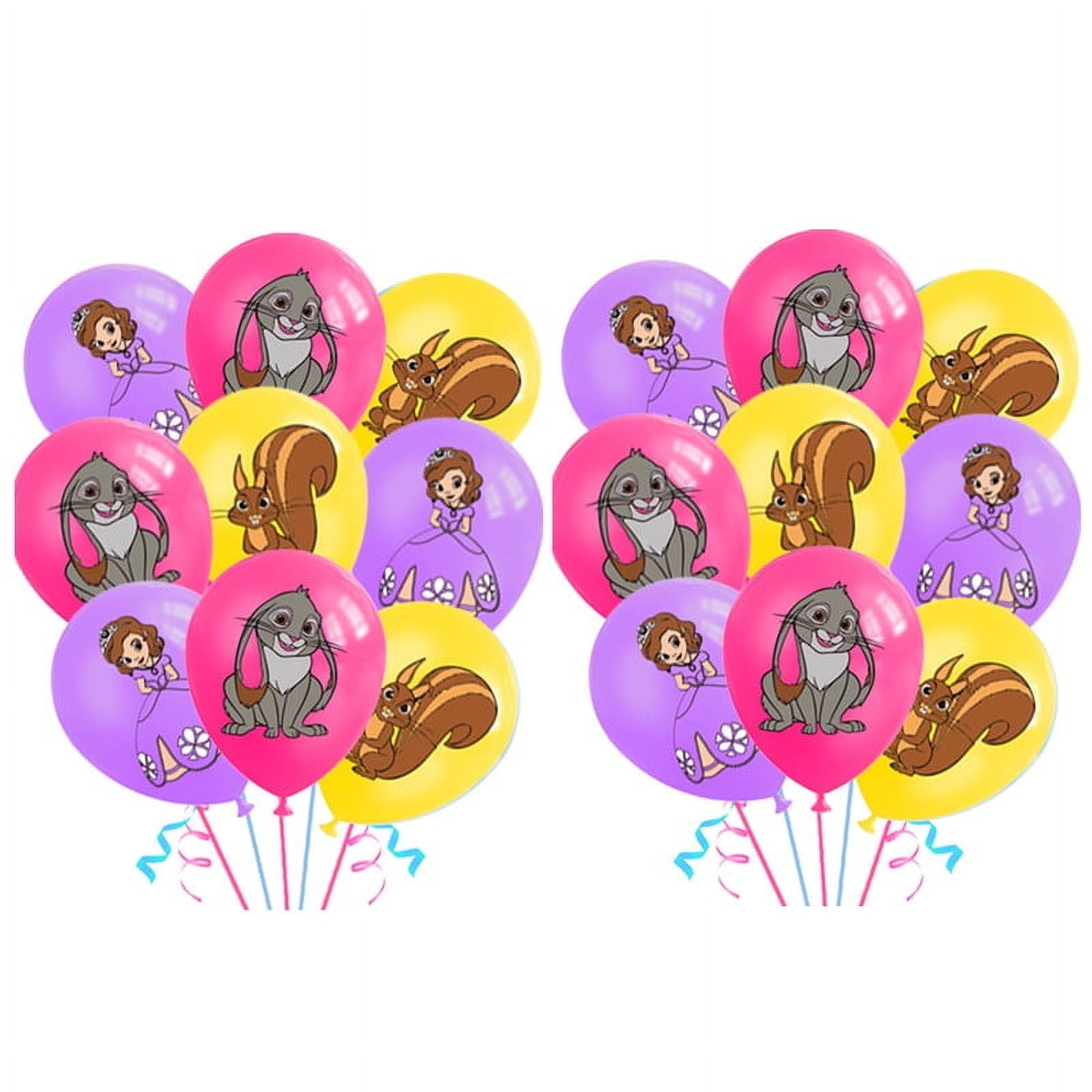 Sofia Princess Balloons Party Supplies Birthday Favors Decorations ...