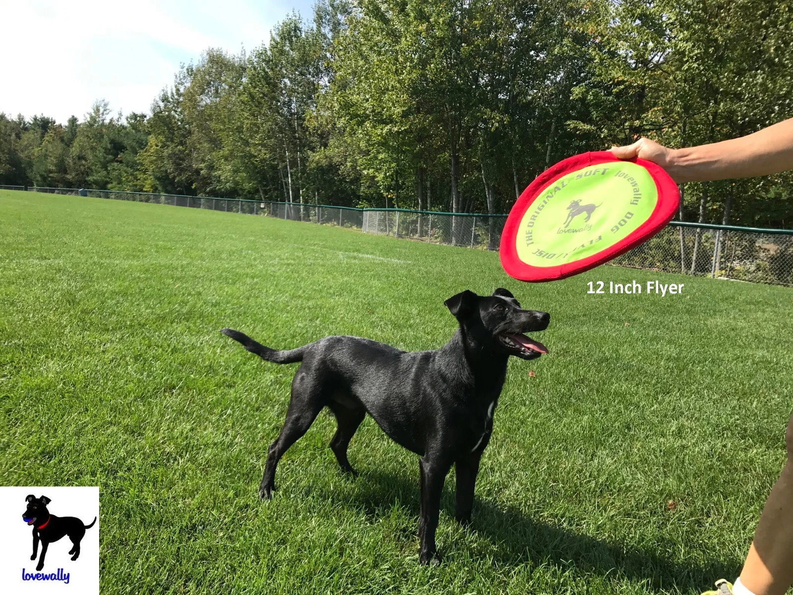 Soft Bite Dog Toy Flyer Floppy Disc Gentle Fetch Frisbee 12" Large ...