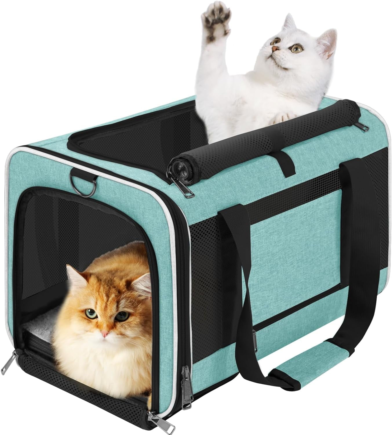 Soft Cat Carrier Large Cat 20 lbs/Kitty Cat Travel Crate for Pet Top ...