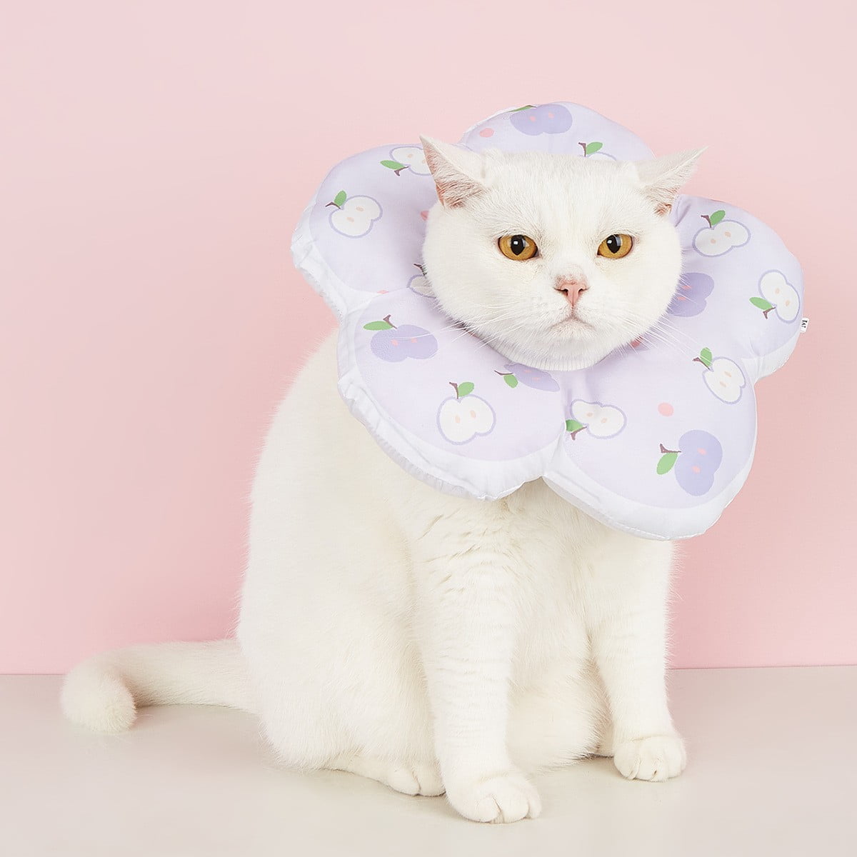 Soft Cat Cone, Adjustable Cat Recovery Collar, Protective Cat Neck Cone ...