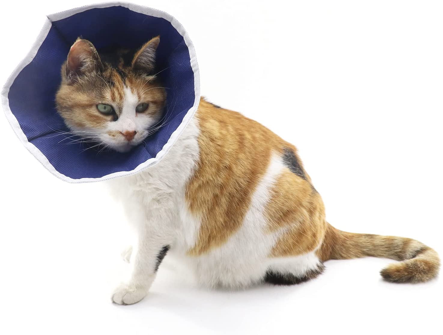 Soft Cat Recovery Collar Cat Cone E Collar Nonwoven Fabric Elizabethan ...