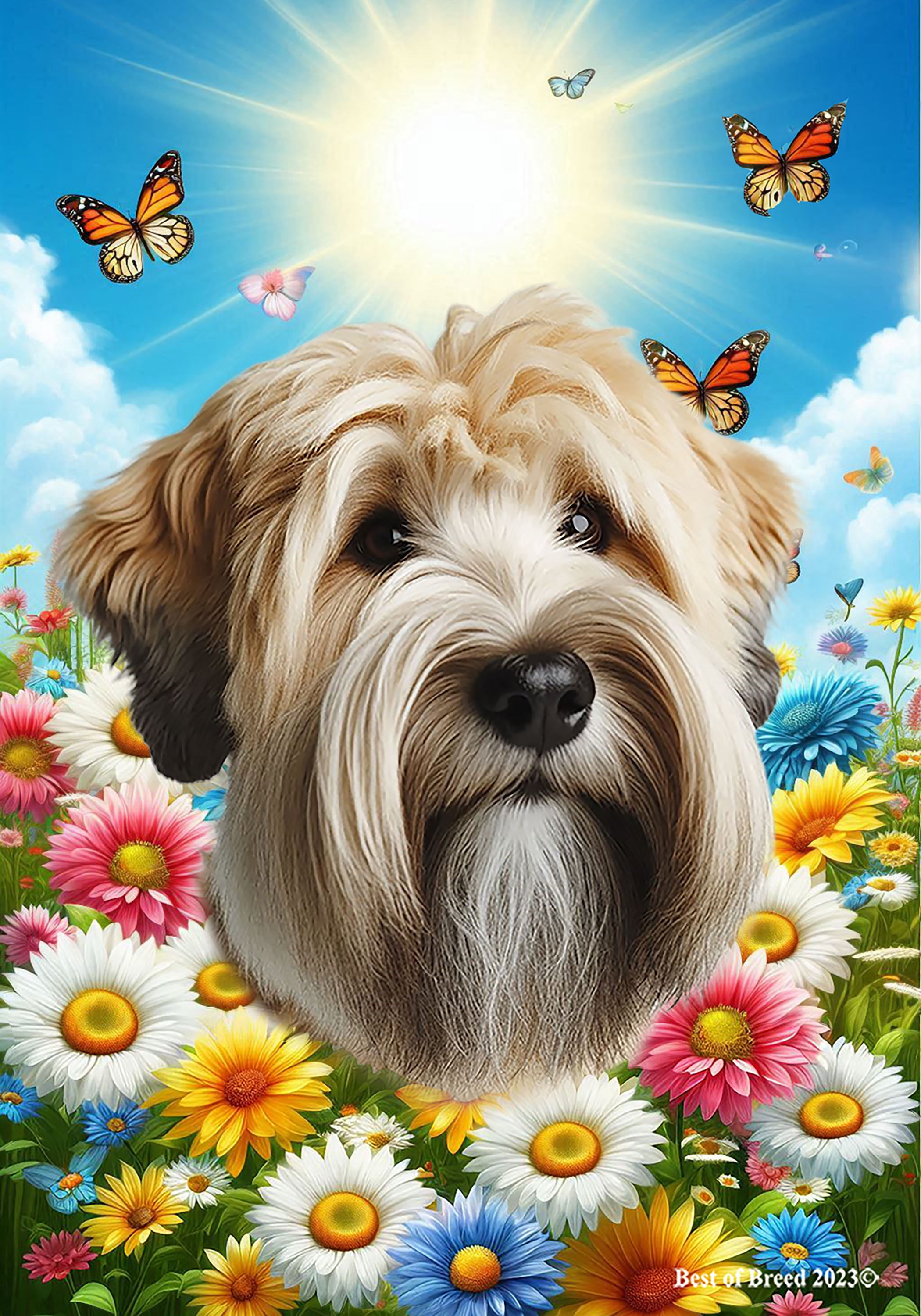 Soft Coated Wheaton Terrier - Best of Breed Summer Butterflies Outdoor ...