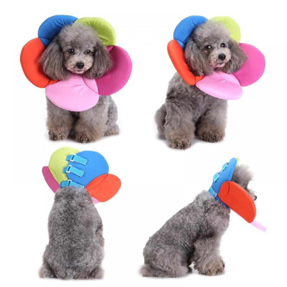 Soft Dog Accessories Recovery Pet Cone E-Collar for Cats Dogs Flower ...