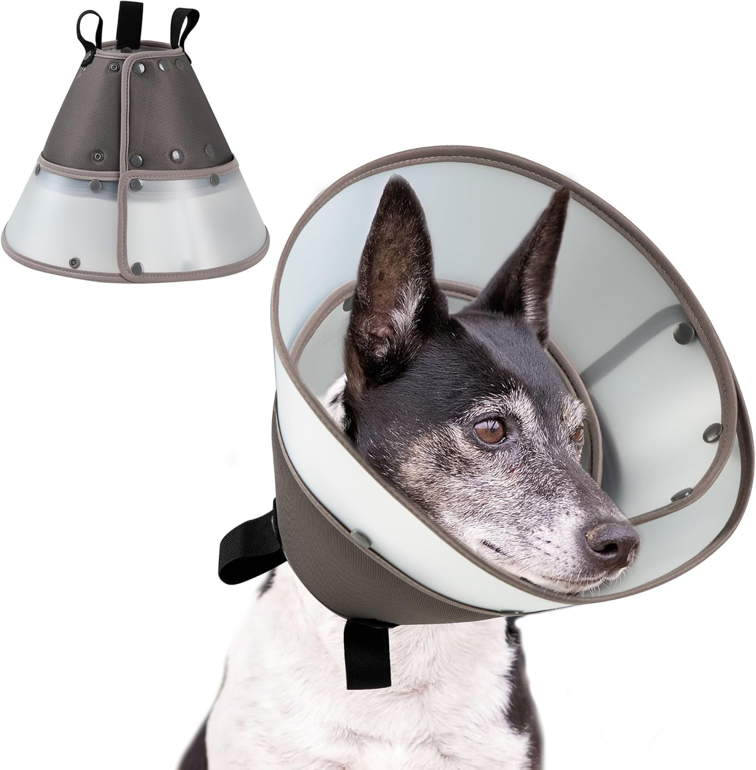 Soft Dog Cone Collar After Surgery,Clear Padded Collar,E-Collars for ...