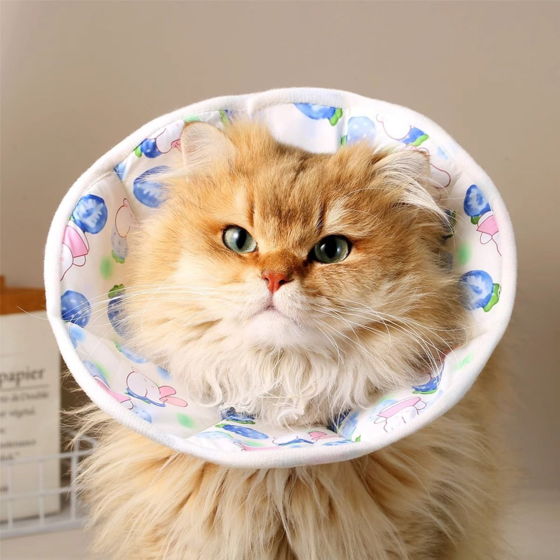 Soft Elizabethan Collar for Pets After Spay Neuter Surgery Waterproof ...