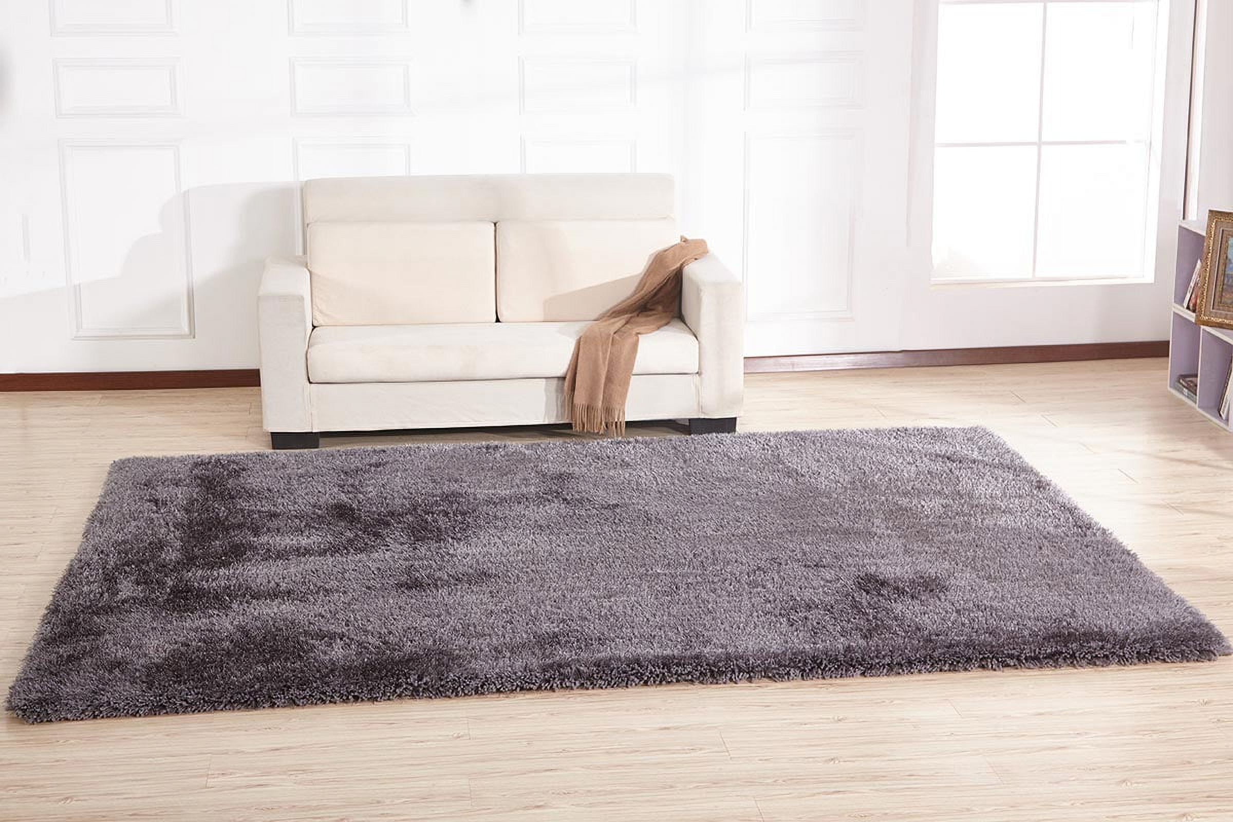 Soft Fluffy Area Rug for Living Room Bedroom, Shaggy Accent Carpets for ...