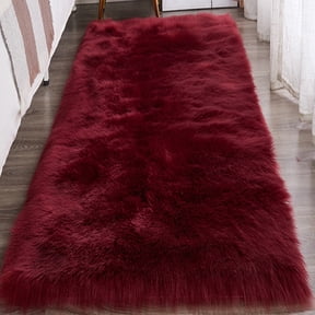 24X60 Rugs