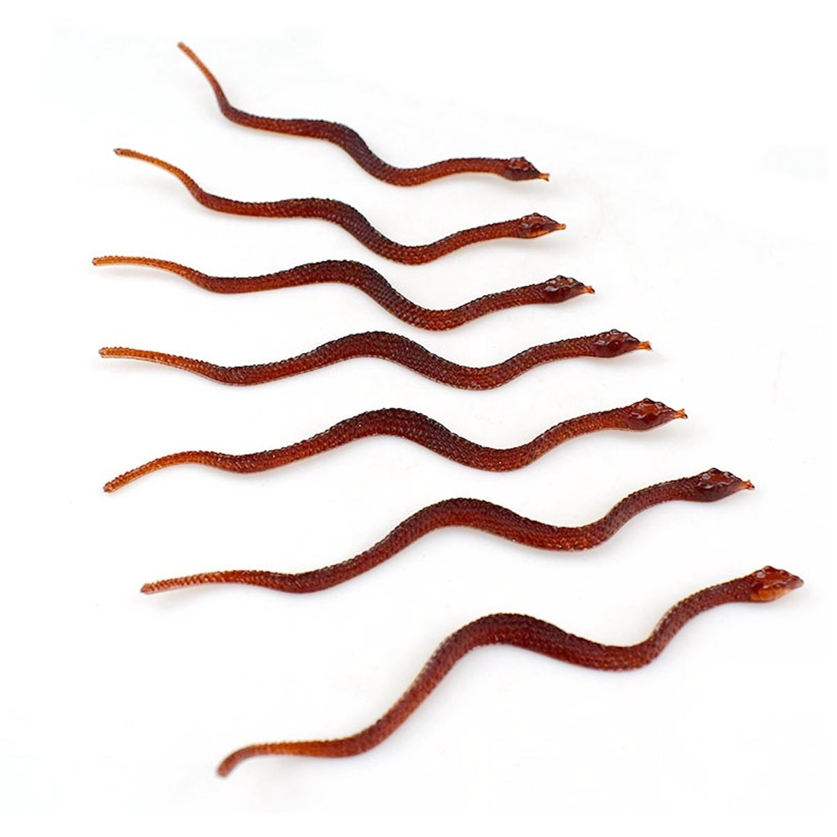 Soft Lure Earthworms, Realistic Rainforest Snakes for Fishing Bait ...