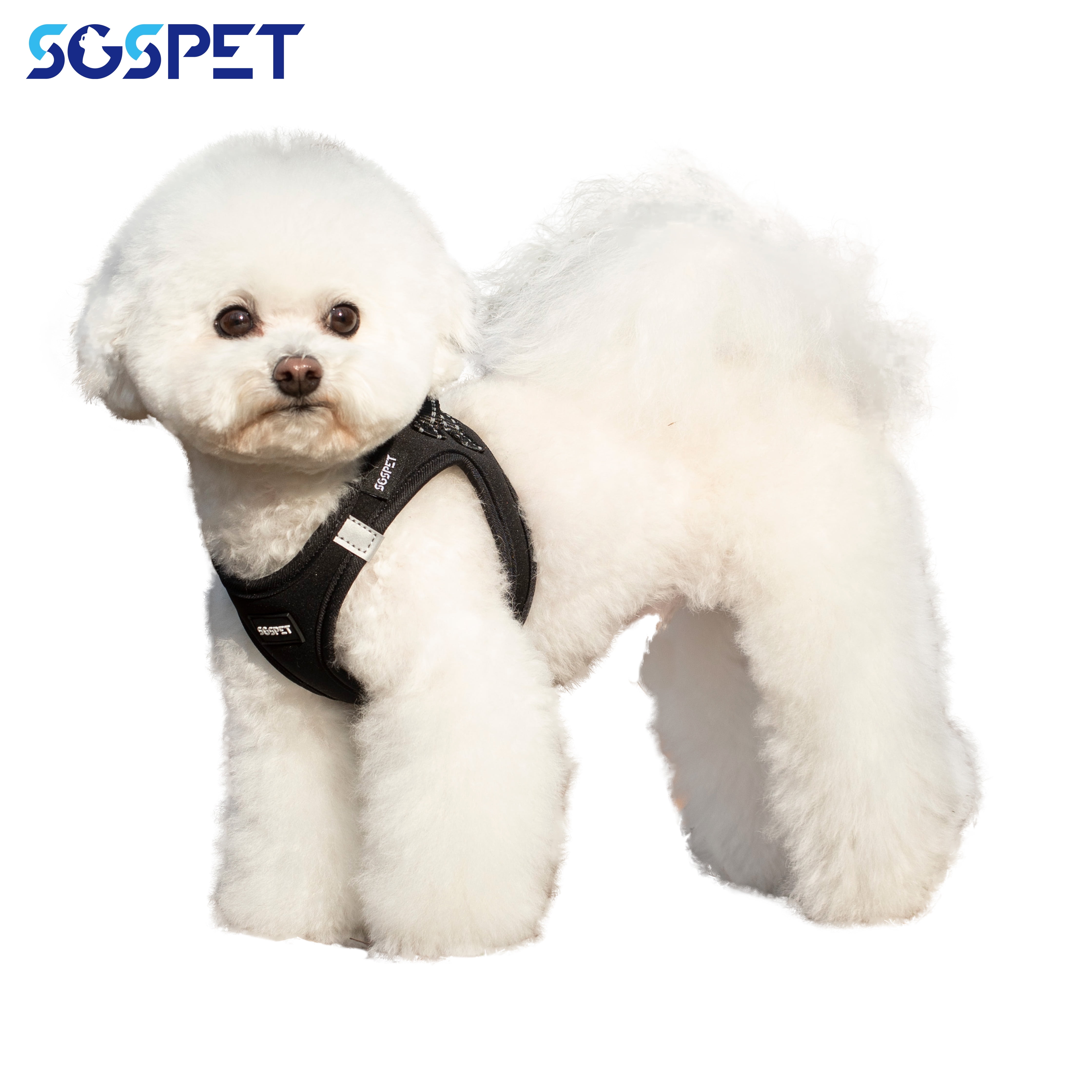 Soft Mesh Dog Harness Set, No-Chock Step-in Reflective Breathable ...