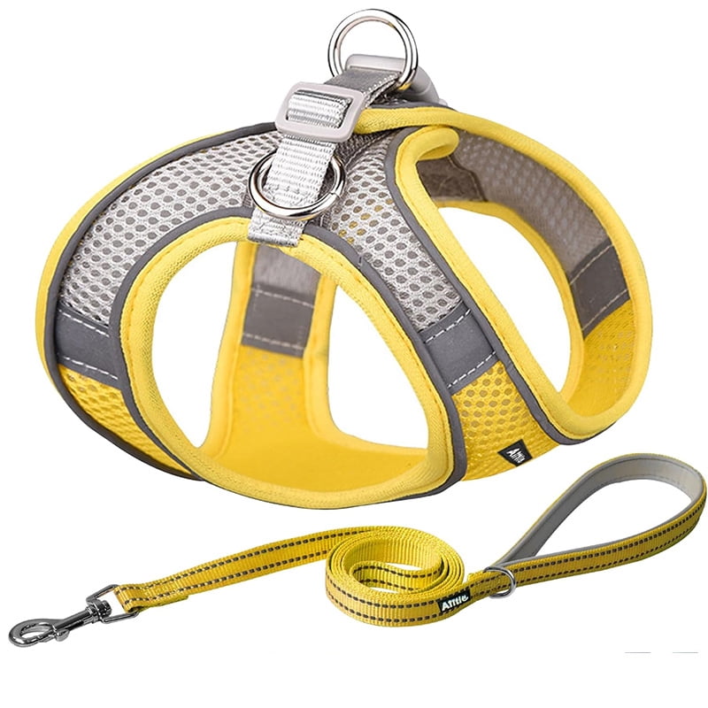 Soft Mesh Dog Harness and Leash Set,No Escape Puppy Harnesses for ...