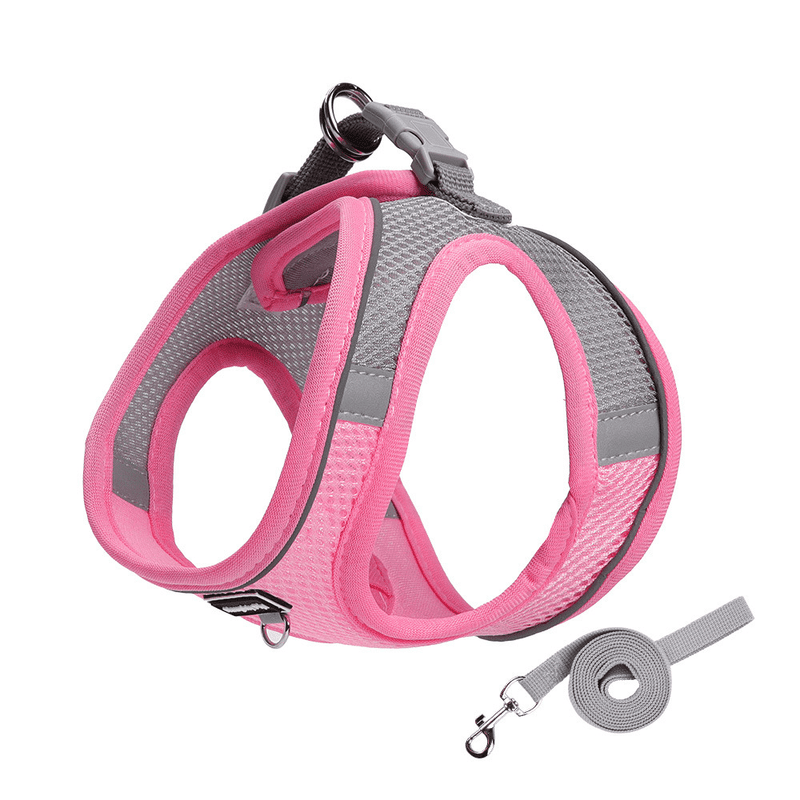 Soft Mesh Dog Harness and Leash Set,No Escape Puppy Harnesses for ...