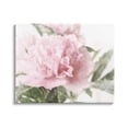 Lil Rue Pink Carnation Canvas Print - 30x24 Inch Floral Wall Art ...