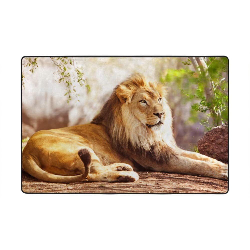 Soft Rug Comfortable Indoor Carpet, Beautiful Lion Large Area Rugs ...
