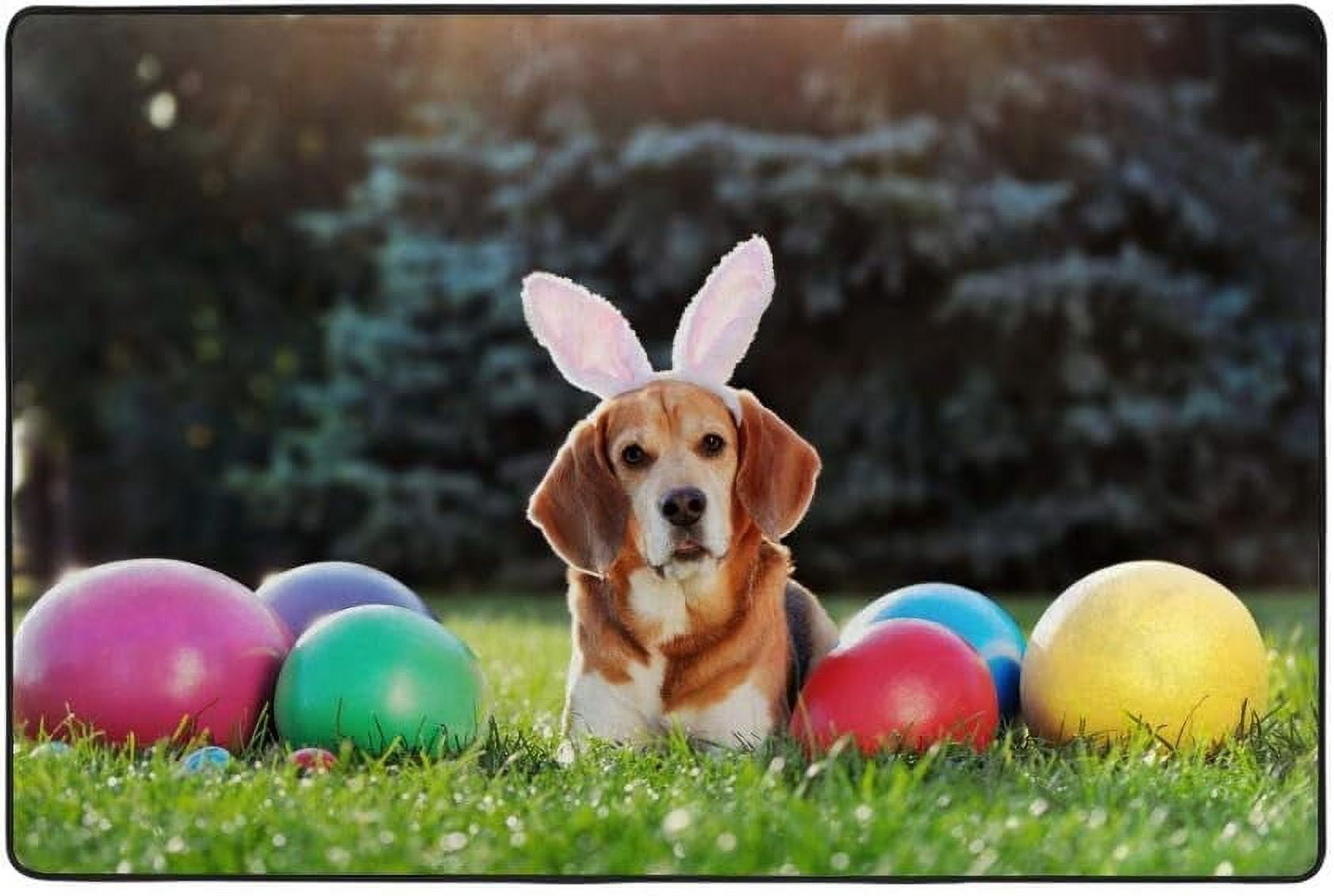 Soft Rug Comfortable Indoor Carpet, Easter Cute Beagle Large Area Rugs ...