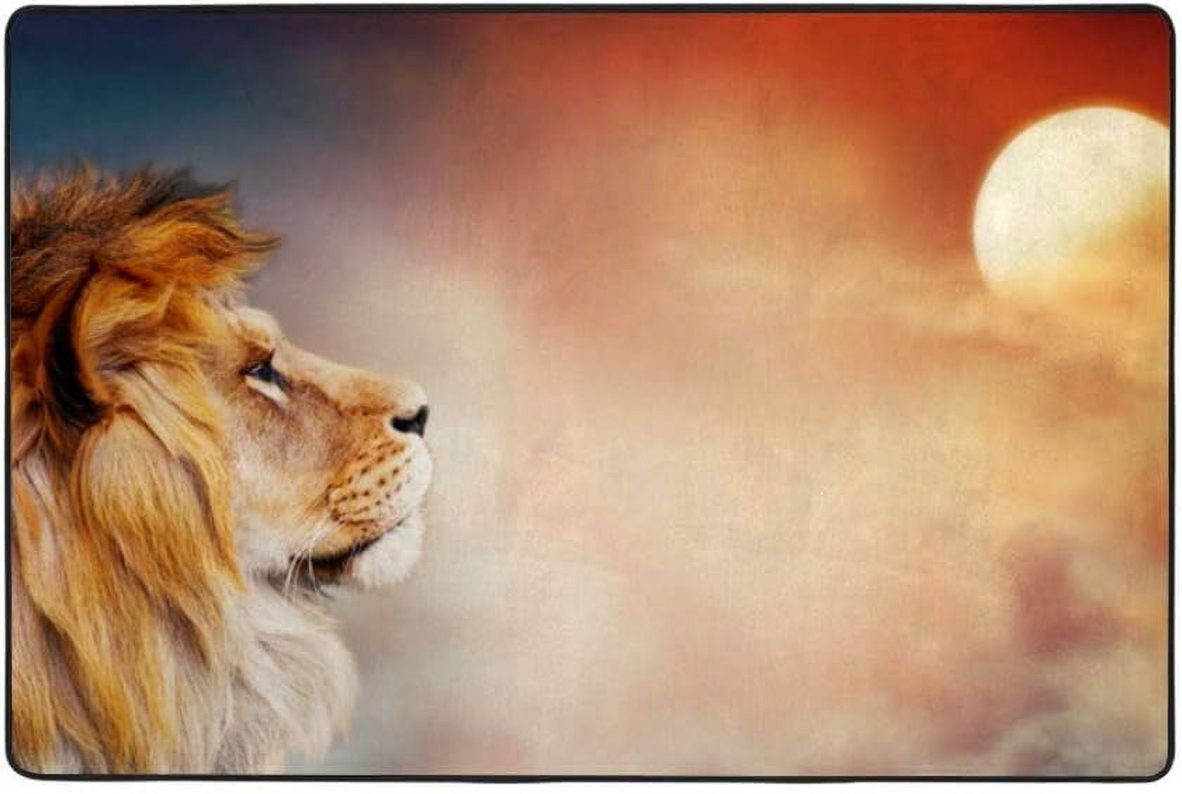 Soft Rug Comfortable Indoor Carpet, Lions and Sunsets Large Area Rugs ...