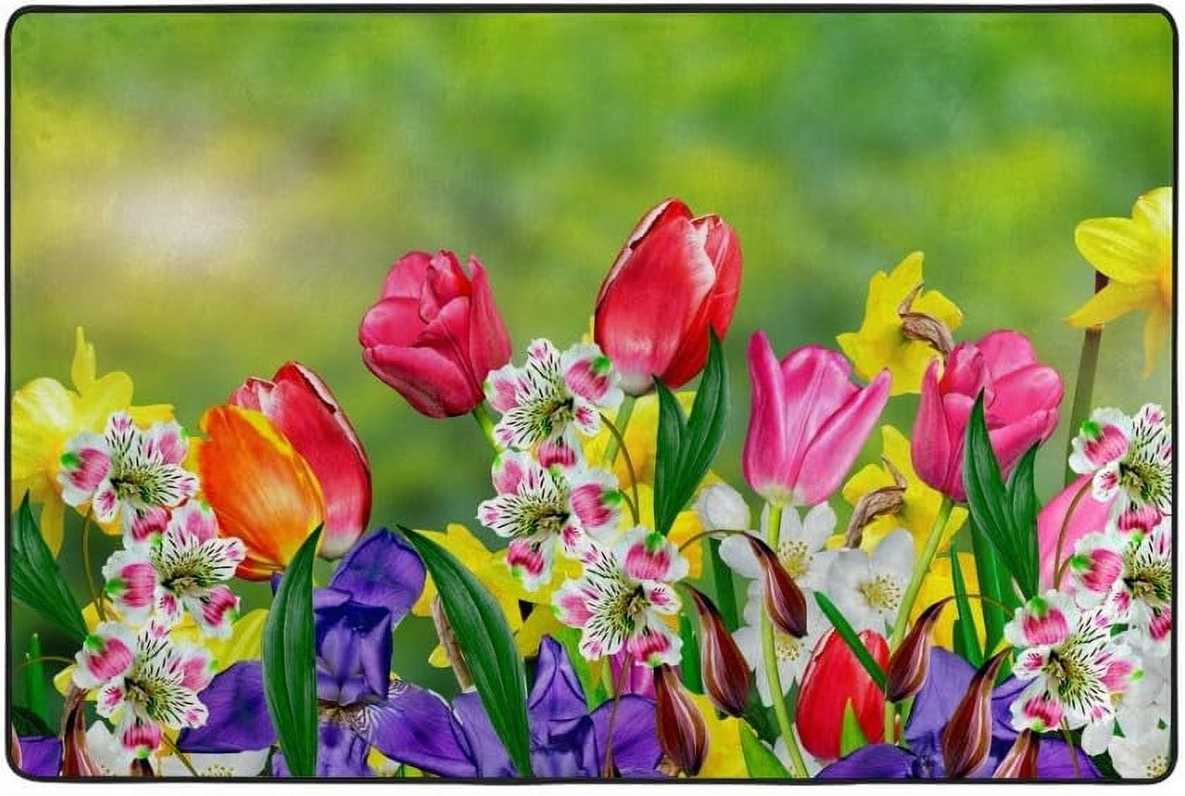 Soft Rug Comfortable Indoor Carpet, Spring Flowers Large Area Rugs ...