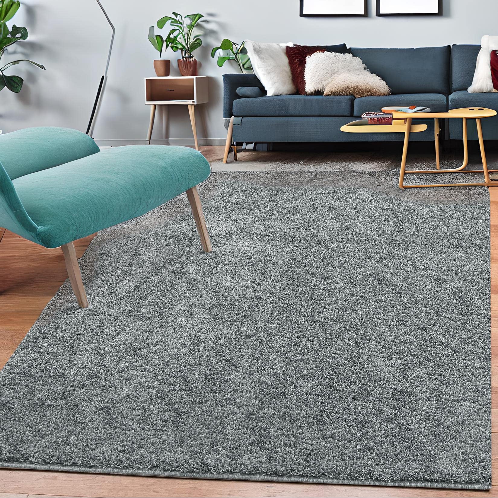 Soft Shaggy Rug for Living Room Plush Shag Rugs for Bedroom Dorm Room ...