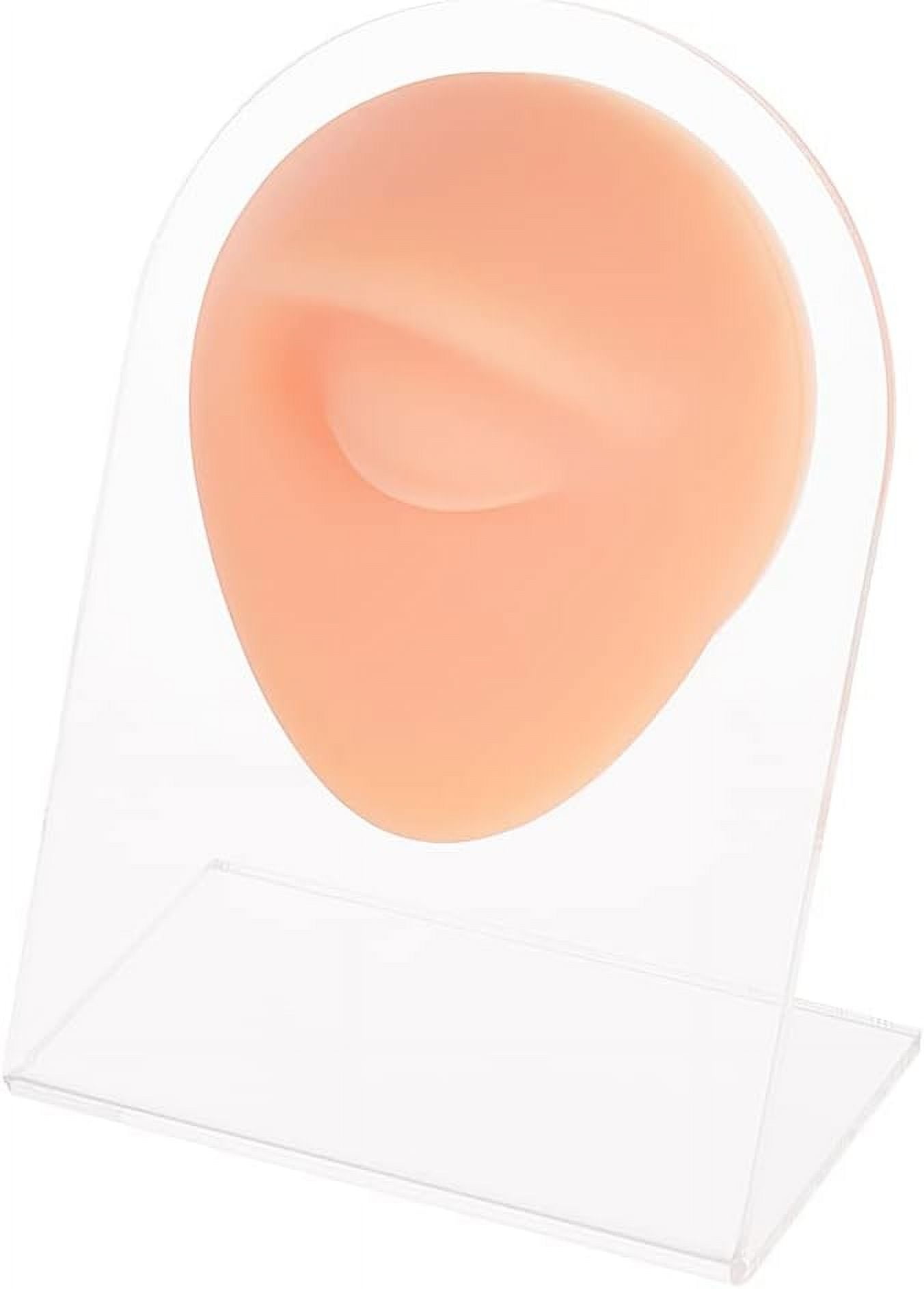 Soft Silicone Eye Model with Acrylic Display Stands Soft Silicone ...