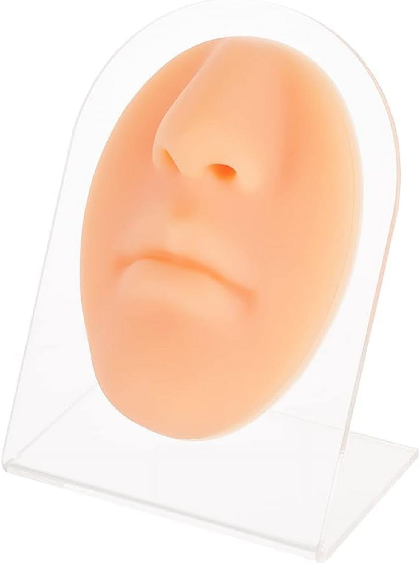 Soft Silicone Nose Mouth Model with Acrylic Display Stands Soft ...