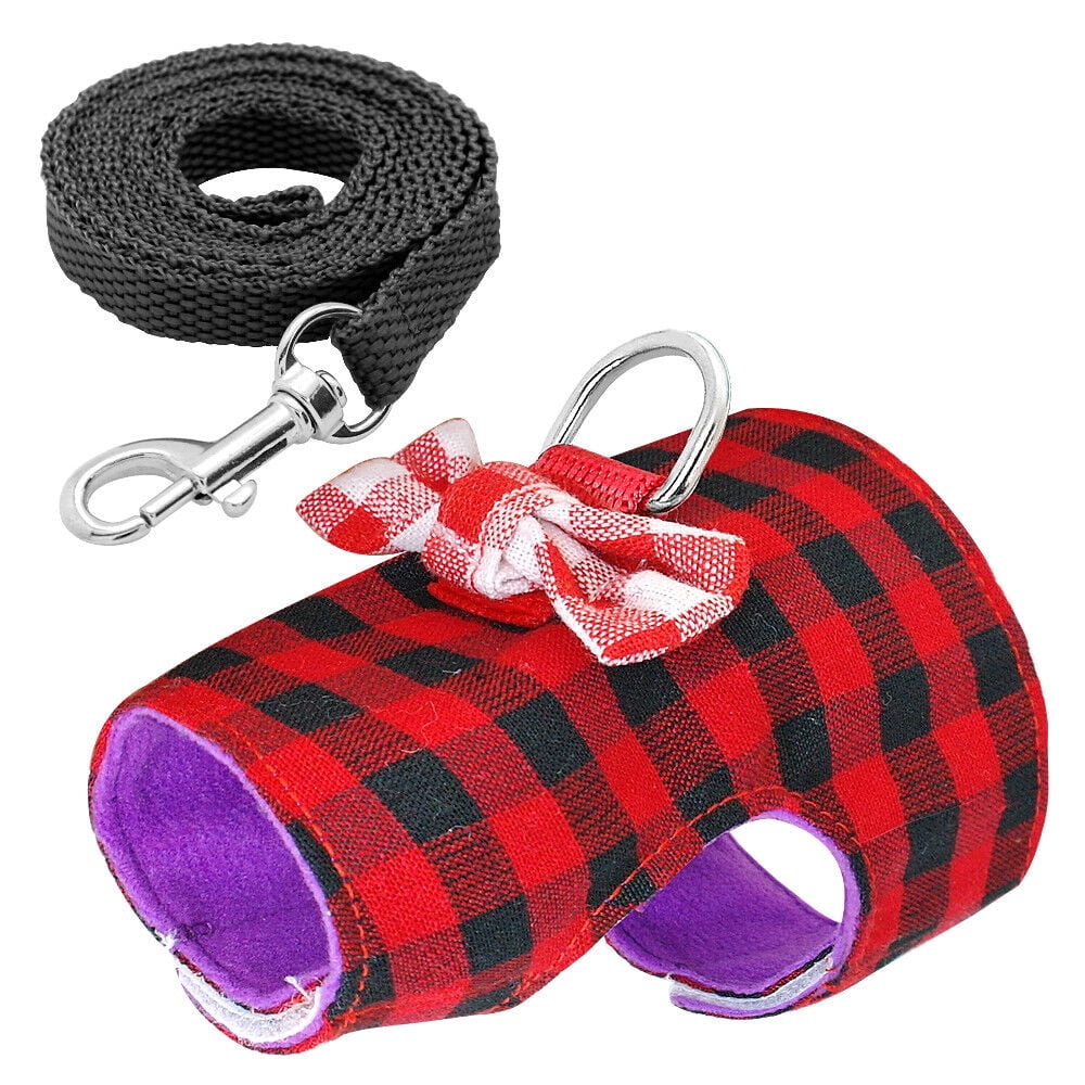 Soft Small Animal Harness and Leash Pet Walk Vest for Squirrel Guinea ...