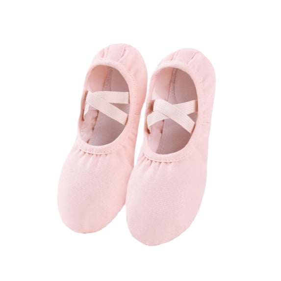 Soft Sole Dance Shoes, Professional Practice Ballet Shoes, Unisex Youth ...