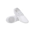 Soft Sole Dance Shoes, Professional Practice Ballet Shoes, Unisex Youth ...