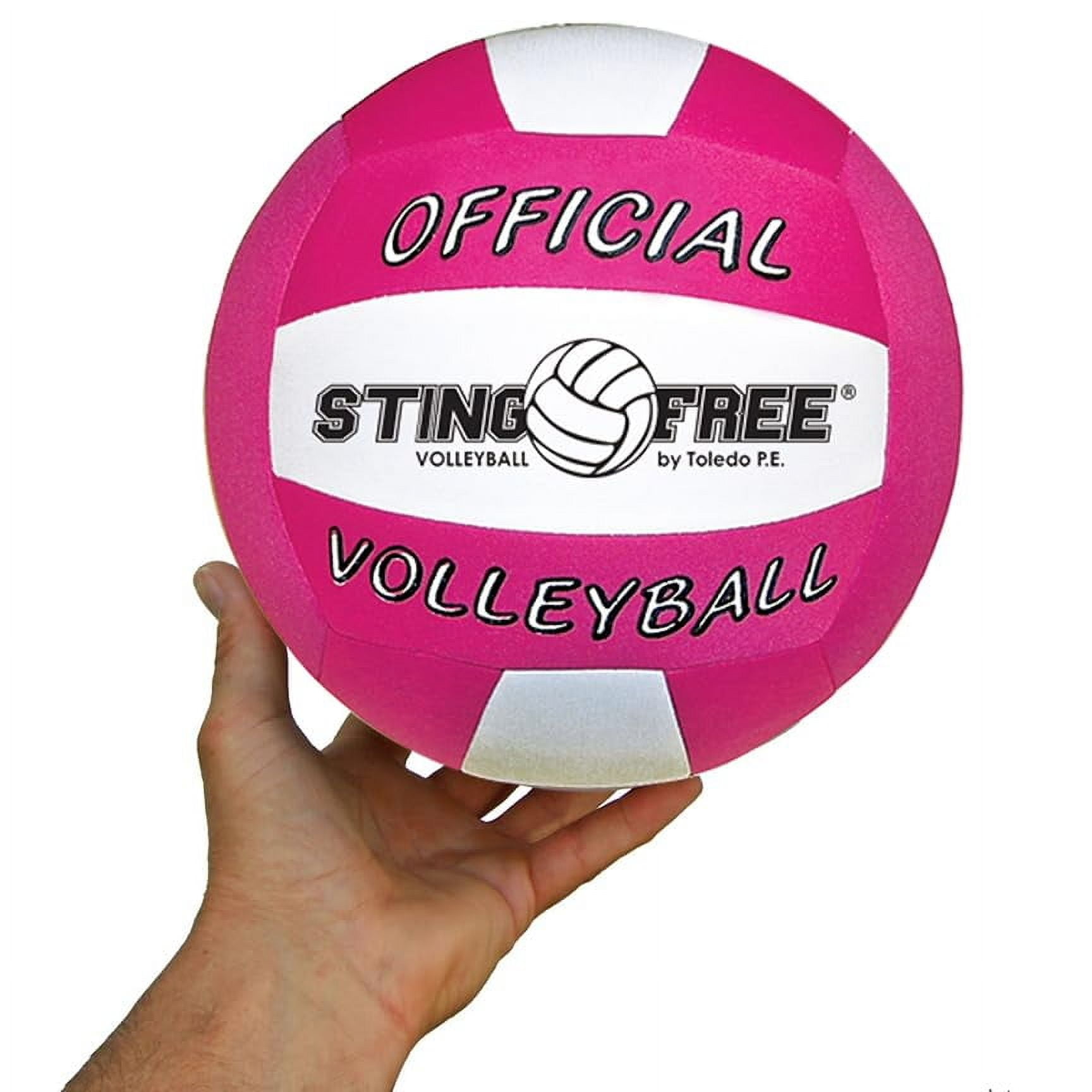Soft, Sting-Free Volleyballs for Elementary Age Children and Physical ...