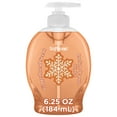 Softsoap Limited Edition Liquid Hand Soap, Gingerbread Scent, 6.25 fl ...