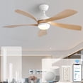 Sofucor 52" Smart Ceiling Fan, Indoor/Outdoor Ceiling Fans with Lights ...