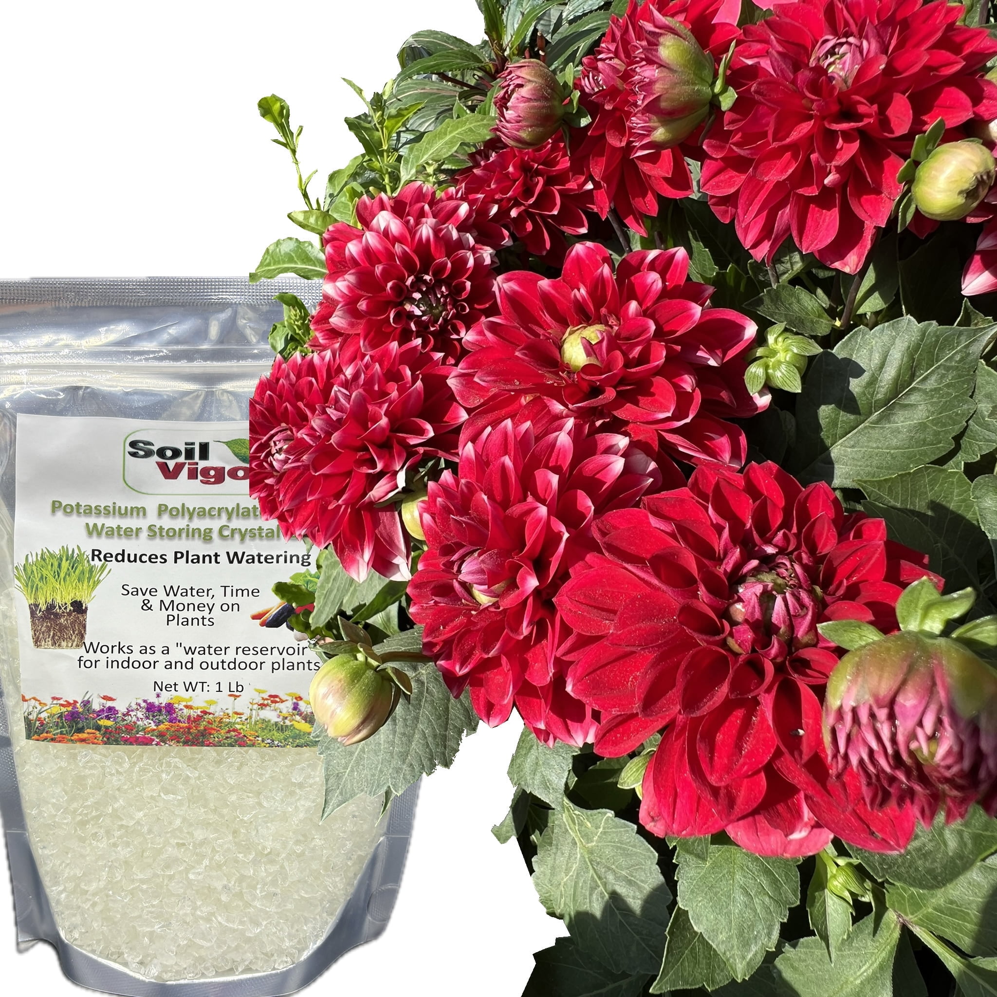 Soil Vigor Potassium Polyacrylate Water Storing Crystals Gel for Plants ...