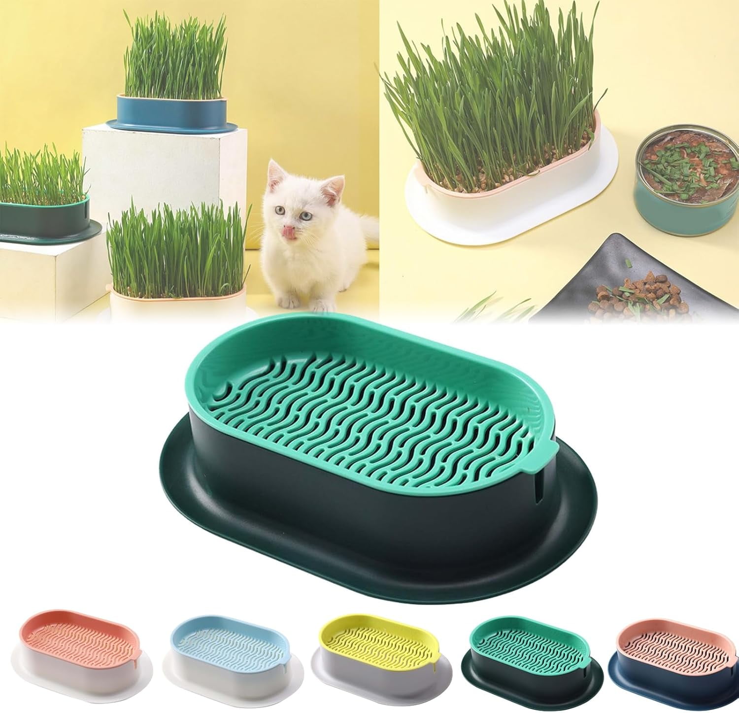 Soilless Culture Cat Grass Growing Kit, Cat Grass Hydroponics Planter ...