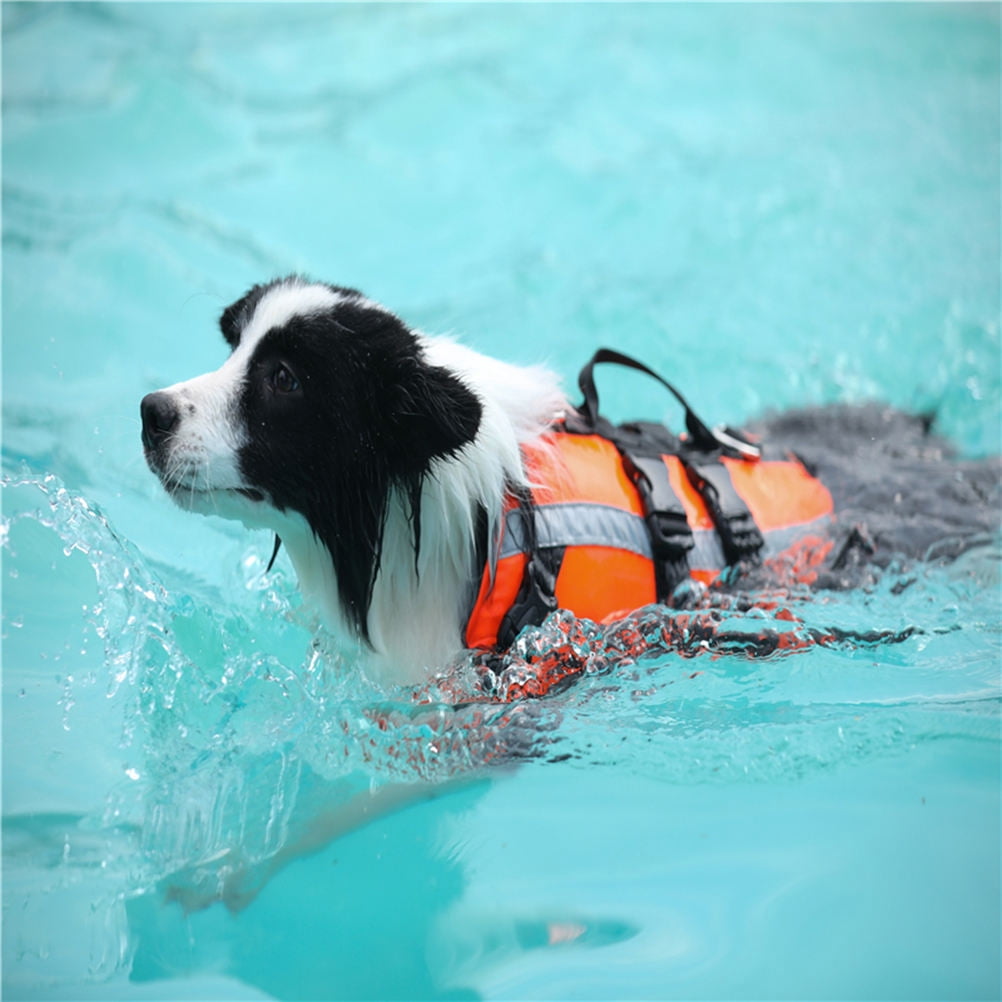 Soimiss 1pc Orange Pet Dog For Outdoor Swimming S Lightweight Portable ...