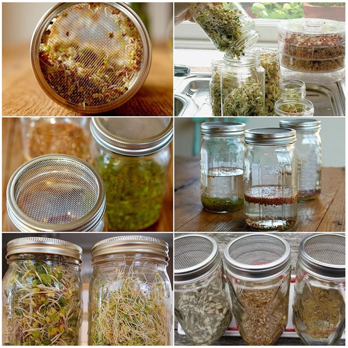 Soimiss 4Pcs Sprouting Caps for Stainless Steel Sifting in Kitchen Use ...