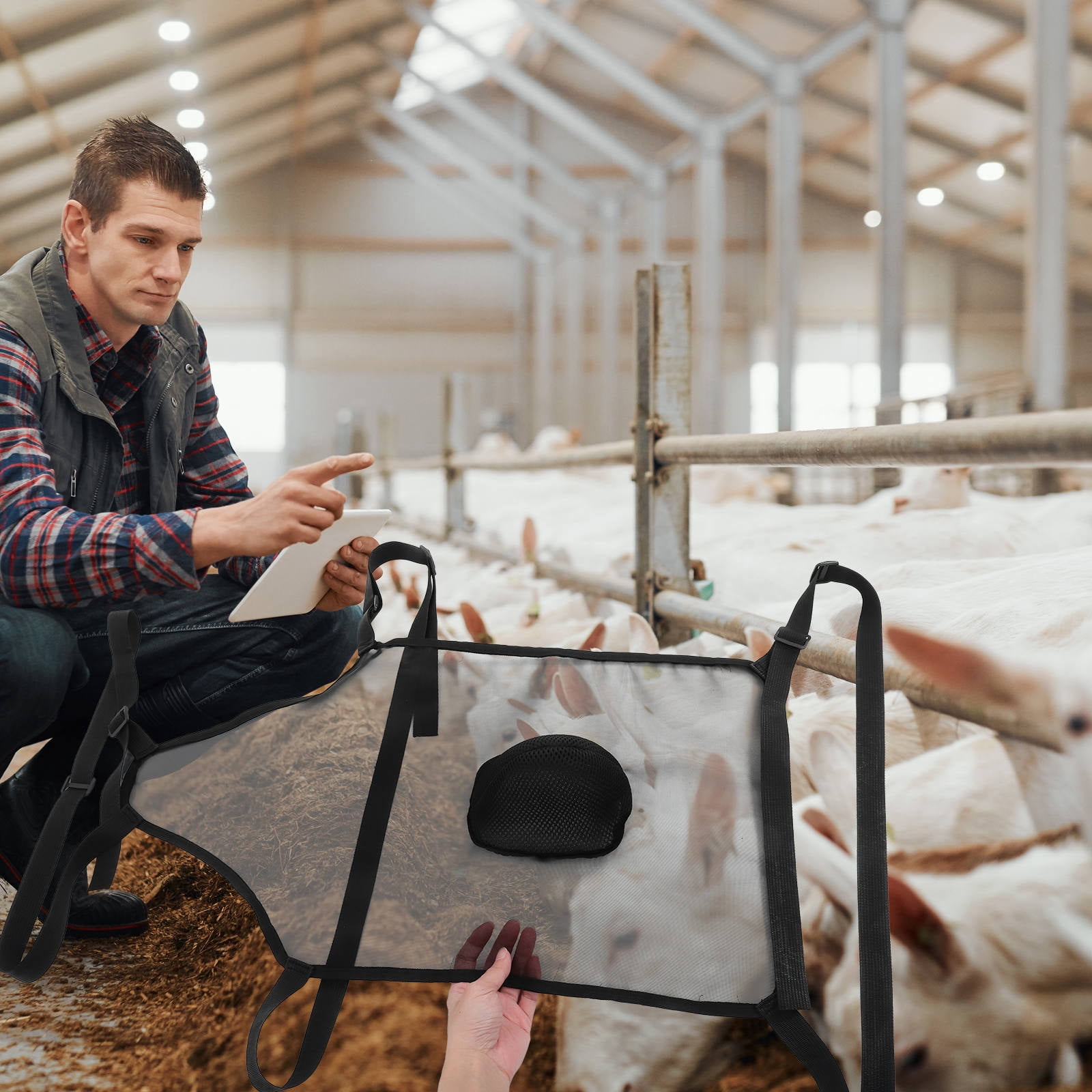 Soimiss Adjustable Anti Mating Apron for Sheep Goat Livestock with ...