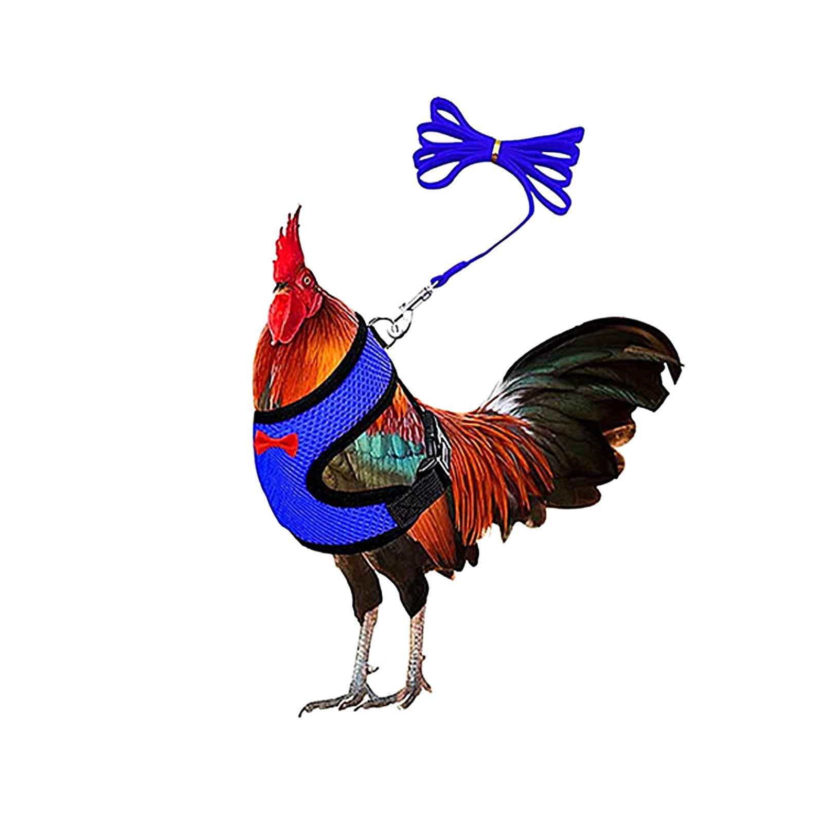 Sokhug Adjustable Chicken Harness and Leash Set Spring Summer ...